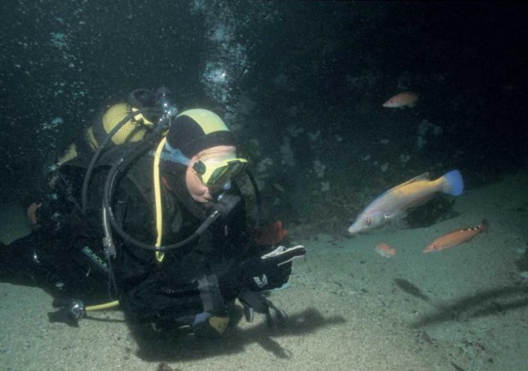 Dive The Eddystone Reef | Plymouth Sound Diver