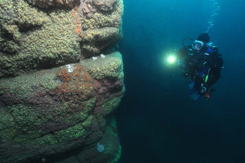 Plymouth Sound Divers - Dive with us on fantastic sites in the local area