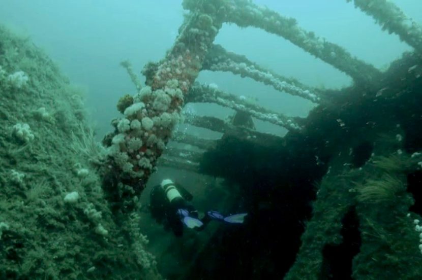 Isles of Scillies Club Trip with Dive Scilly - June 2019 - Plymouth ...